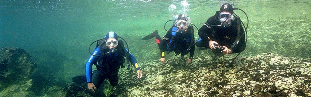 Buceo – Puerto Piramides